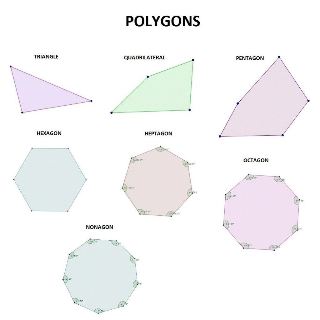The Fascinating Sides Of A Convex Heptagon 