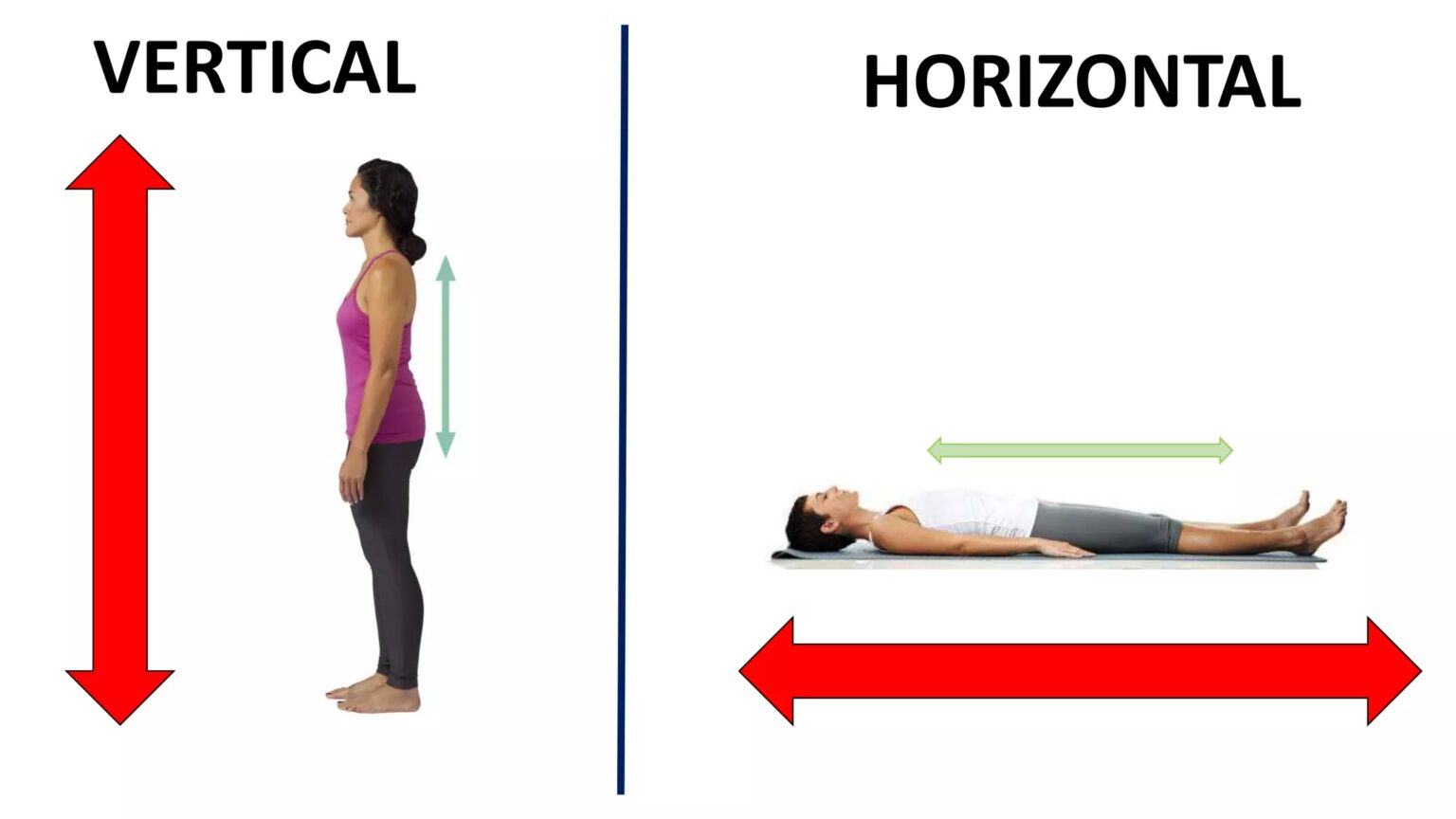 The Concept of the Horizontal Direction Elucidated