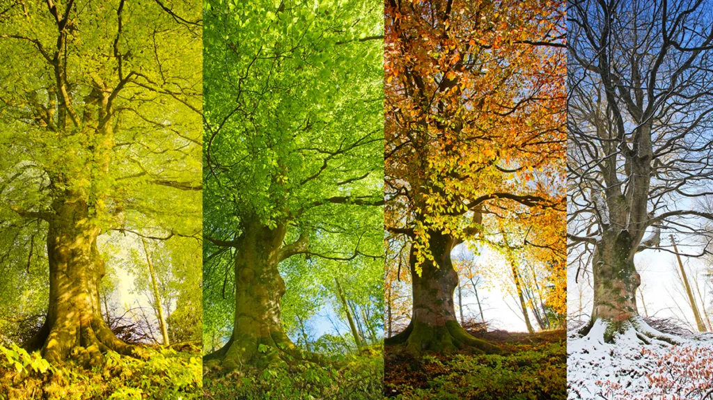 Seasons In The AP Style